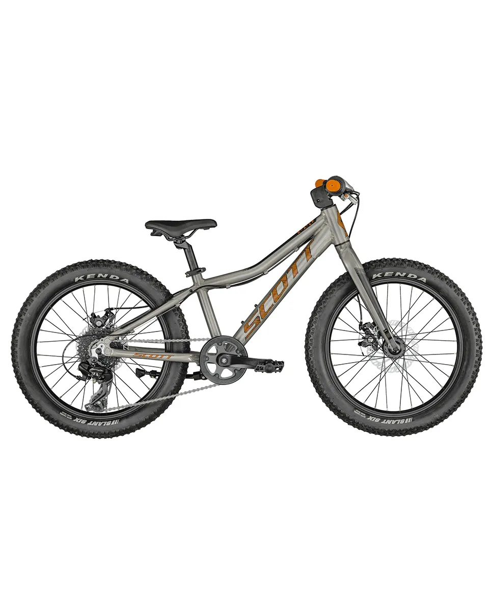 VTT Enfant ROXTER 20 Argent - Ref 290752-001