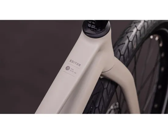 Vélo urbain EDITOR PRO Gris/Gris - Ref 155301-001