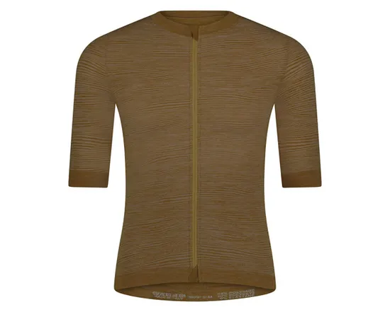 Maillot manches courtes Homme EVOLVE TERRA SEAMLESS Marron - Ref ...