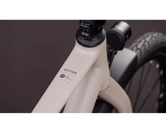 Vélo urbain EDITOR PRO FE Gris/Gris - Ref 155310-001