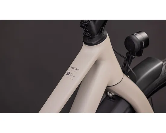 Vélo urbain EDITOR PRO FE Gris/Gris - Ref 155311-001